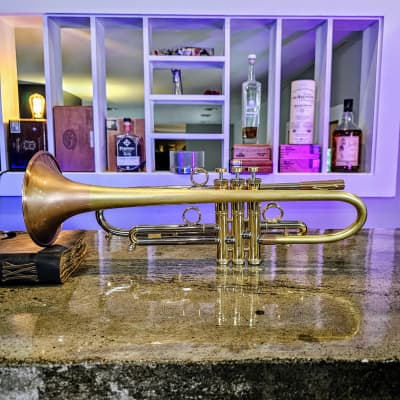 Taylor Trumpets Piranha Trumpet | Reverb