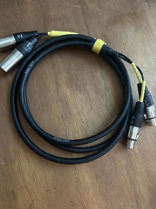 Handmade 2 Channel XLR Snake | Reverb