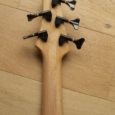 Noguera 5 strings Fretless - Picta model | Reverb