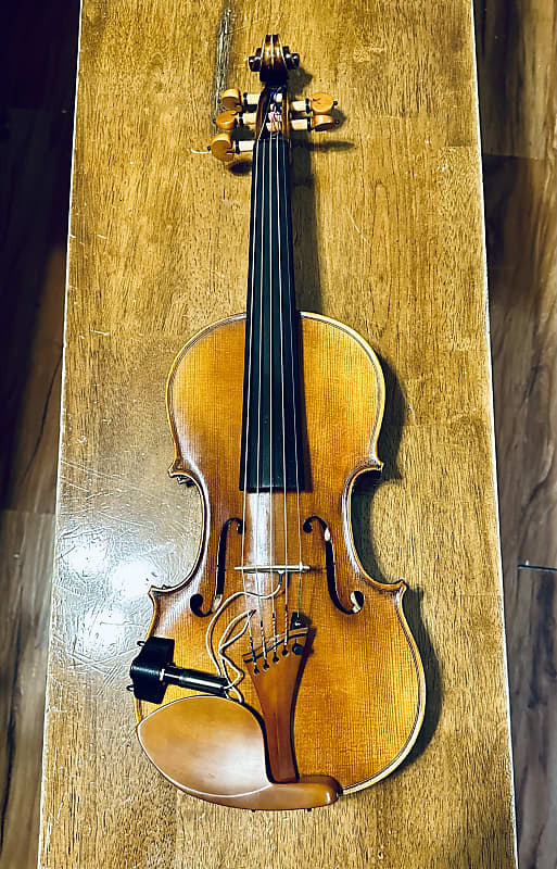 Fiddlerman Master 5-String | Reverb