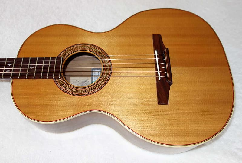 1999 Michael Turko "Tennessee Tornado " Parlor Guitar | Reverb