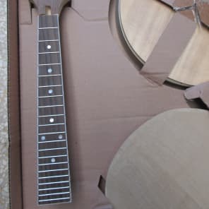 Saga AM-10 Build Your Own Mandolin Kit Build Kit | Reverb