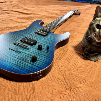 Kiesel Type-X 6 Trem 2020 - Deep Sunset Burst Over Flamed | Reverb