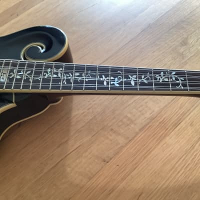 Johnson MF 370 2005 - Dark black F style mandolin | Reverb
