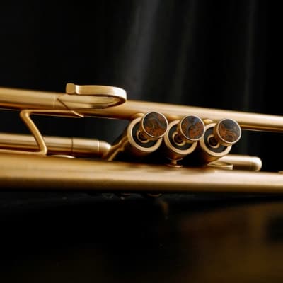 Pre-Owned Monette Raja P3-STC Trumpet in Brushed Gold Plate! | Reverb