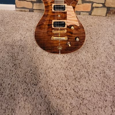 Brian Winger Custom PRS style guitar #002 RS "Bear Paw" 2008 | Reverb