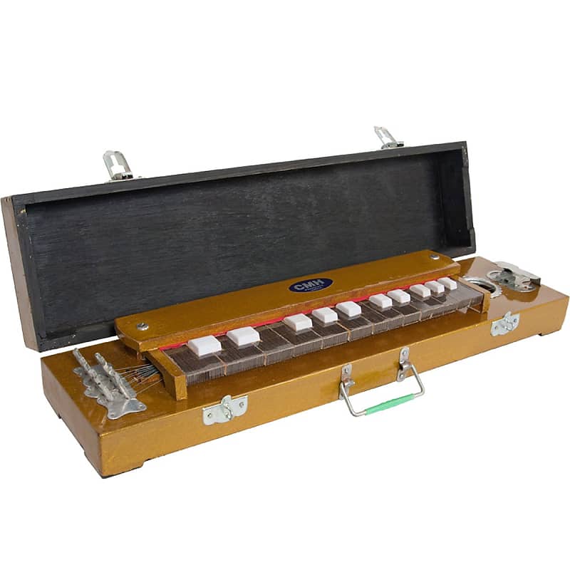 banjira Bulbul Tarang (Indian Banjo) 23" | Reverb