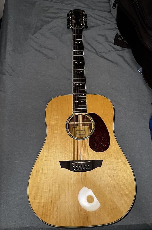 Orangewood Echo 12 Live | Reverb