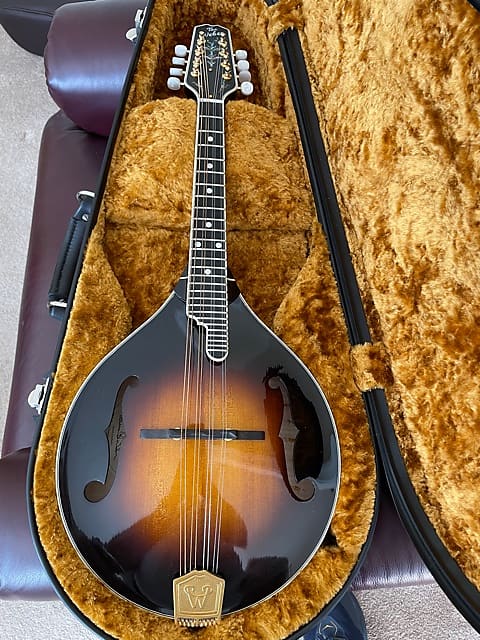 Weber Fern A Style Varnish Sunburst | Reverb