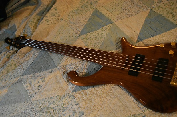 Custom Fretless 5 String Bass Natural Project | Reverb