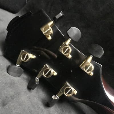 Eastman John Pisano 480ce Anniversary 2023 - Sunburst Archtop | Reverb