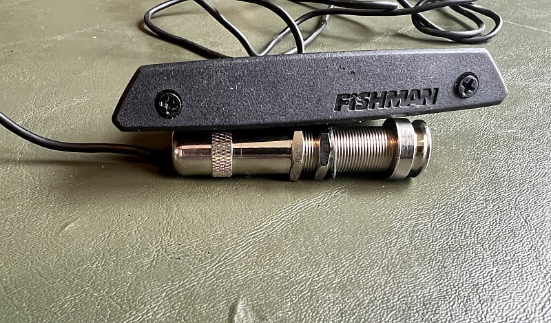 Fishman Rare Earth | Reverb