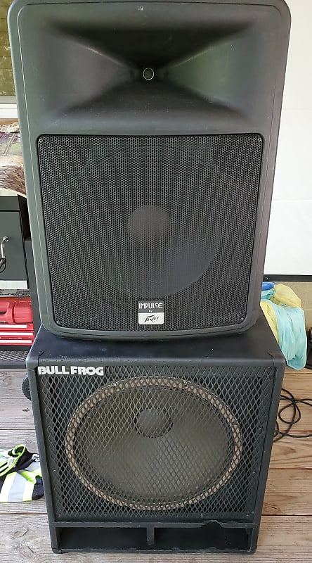 Peavey & Bullfrog PA/DJ Speakers - Unknown - Black | Reverb