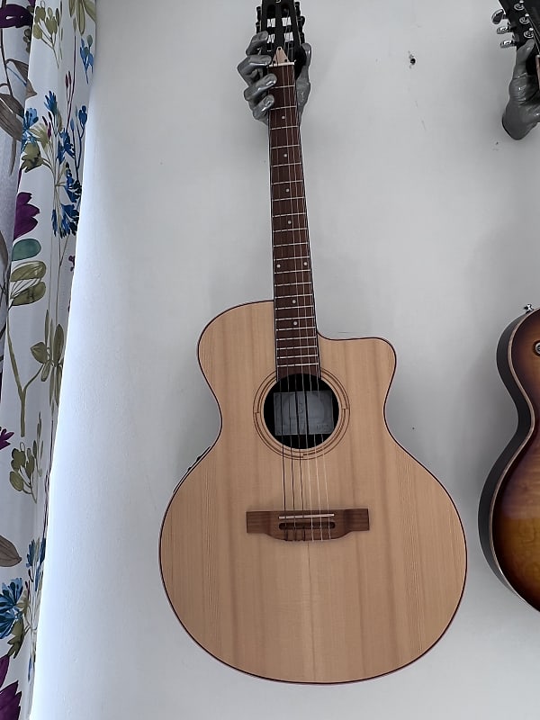 APC Instruments EA Luthier Cross SW (all solid wood) | Reverb Canada