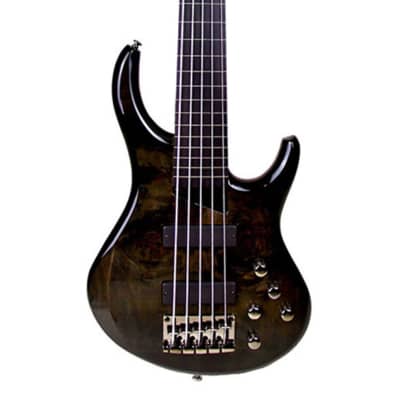 MTD Kingston ZX5 Fretless 5-String Bass Guitar - Trans Black | Reverb