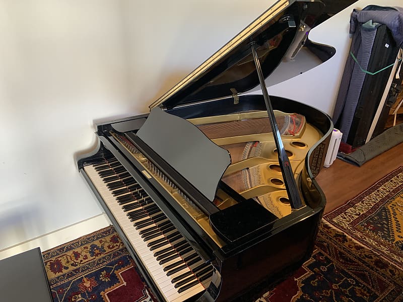 Yamaha C3 Conservatory Grand | Reverb