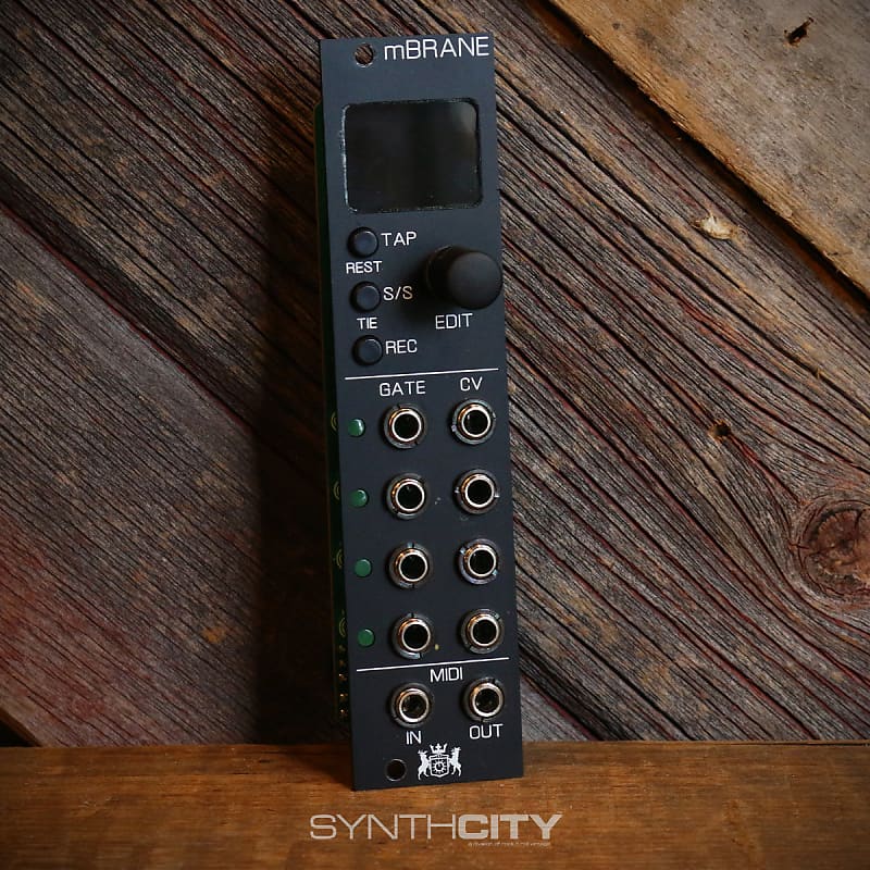 Michigan Synth Works mBrane (Mutable Instruments 6HP Yarns) | Reverb