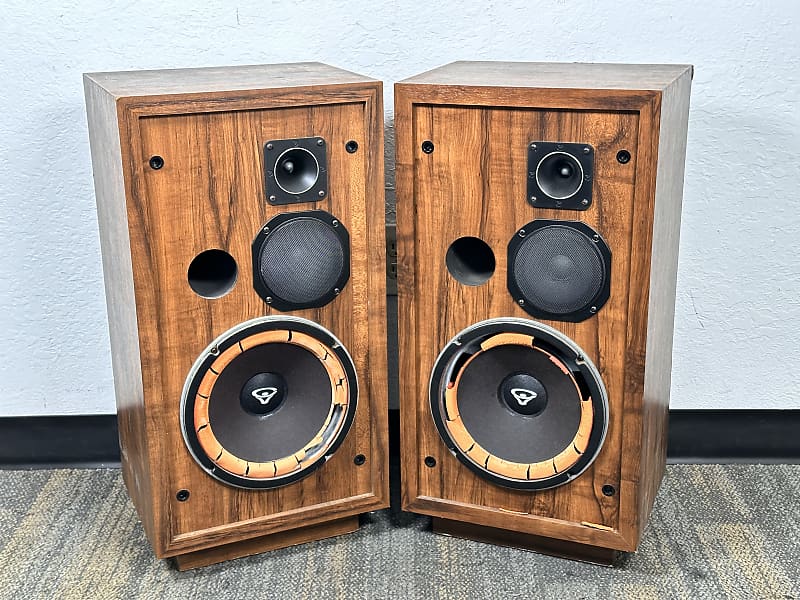 Vintage Cerwin Vega D-3 10" Woofer Floor Speakers | Reverb