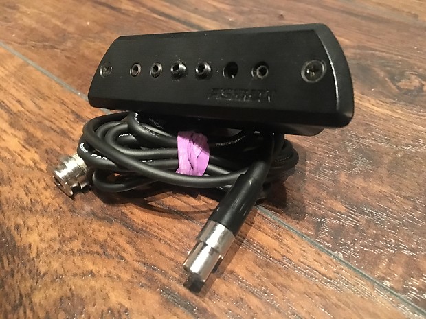 Fishman Blackstack | Reverb