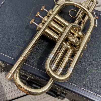Reynolds Medalist Cornet Lacquer | Reverb