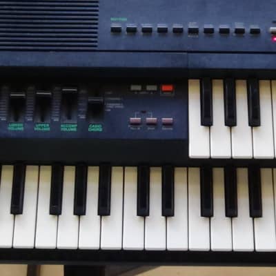 Casio DM-100 Rare Vintage Double-Decker Sampler Keyboard | Reverb