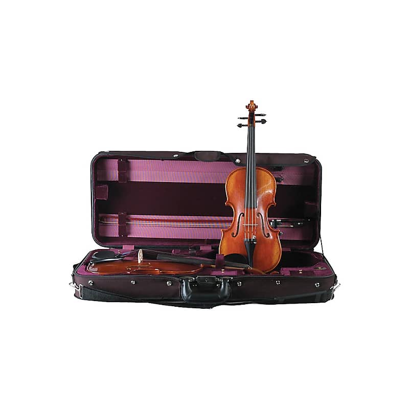 Bellafina Double Violin Case Regular | Reverb