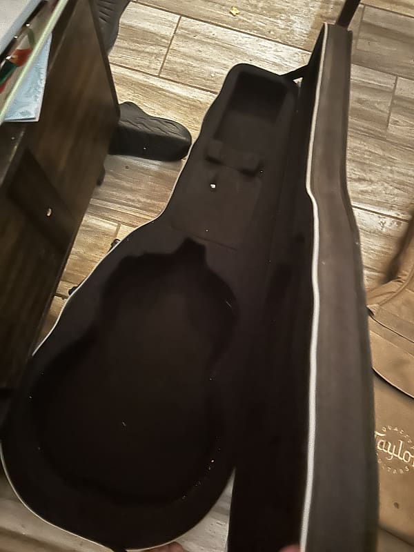 Road Runner Guitar case | Reverb