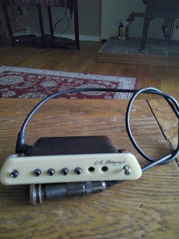 LR Baggs Sound hole pickup. | Reverb