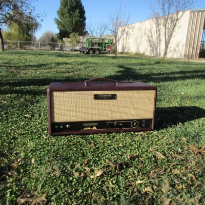 Vero Amp - Chicago Zephyr (Head and Cabinet) | Reverb