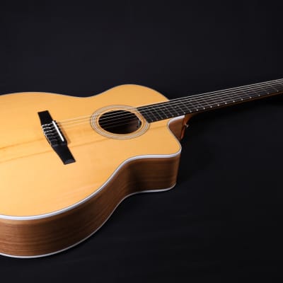 Taylor 214ce-N 2020 - 2023 | Reverb