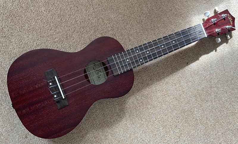 Aria ACU-1 Concert Ukulele | Reverb