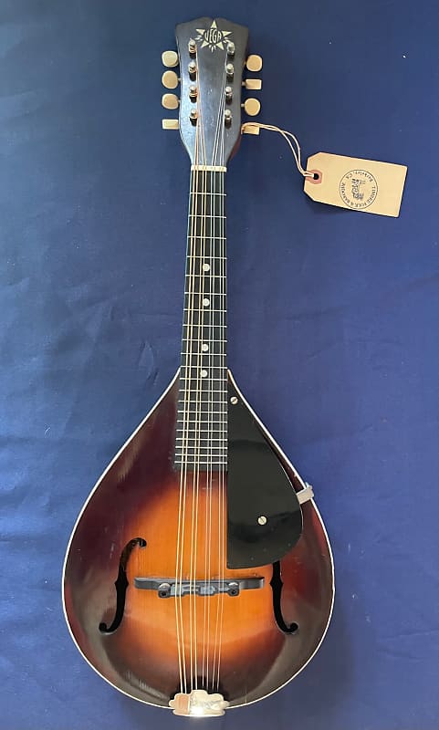 Vega Mandolin archtop, f hole 1930's - Sunburst | Reverb