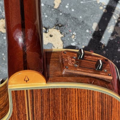 Daion The '81 - Gazelle 1981 - a wonderful Brazilian Rosewood | Reverb