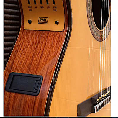 RMC Acoustic Guitar ENSEMBLE AGT | AGS 14-6 Saddle Set and | Reverb