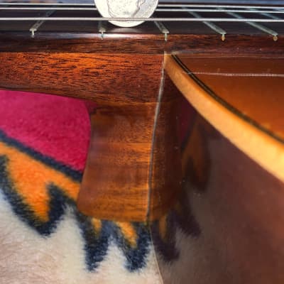 Raimundo Model 112 | Reverb