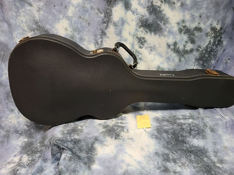 Guild Vintage 1969 Guild Dreadnought Blue Plush Hard Shell | Reverb