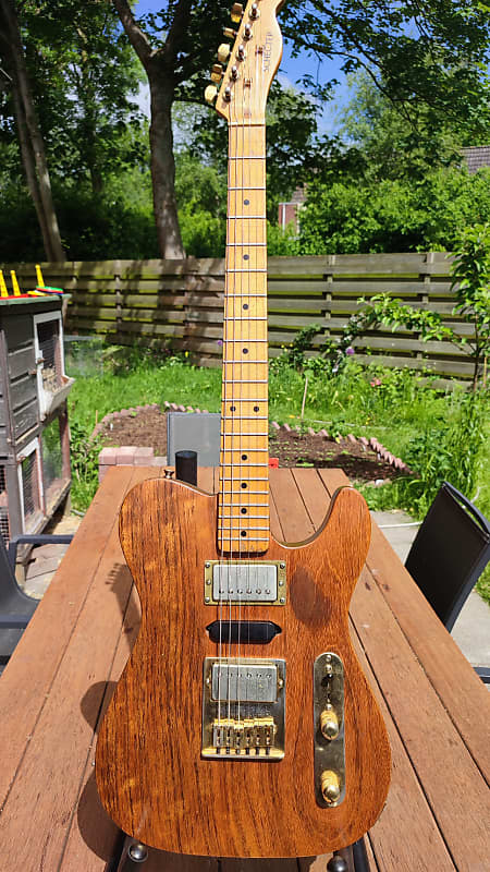 Schecter Unique And Rare Custom Telecaster Dream Machine | Reverb UK