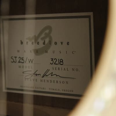 2001 Breedlove SJ25/W Jumbo w/WALNUT back + sides RMC | Reverb