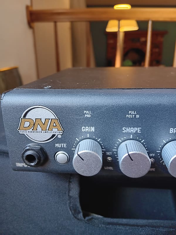 DNA 800 Bass Amplifier 2000's - Grey | Reverb