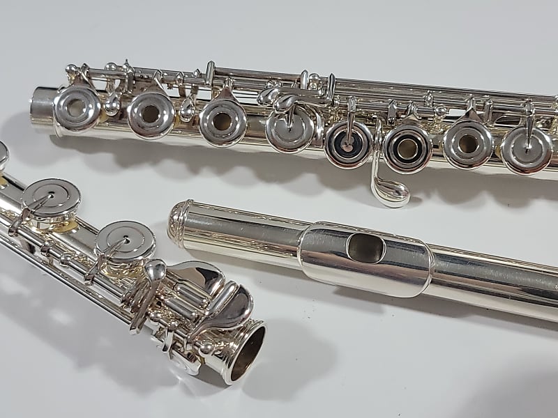 Di Zhao DZ-700 Loaded Semi-Pro Flute Split E D# Roller C# | Reverb
