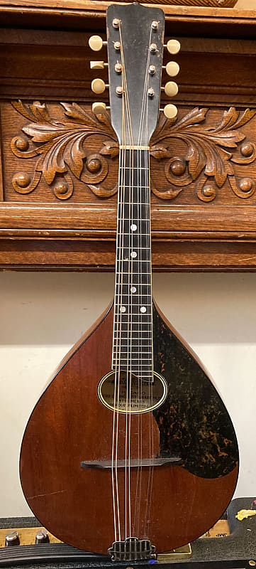 LYON & HEALY Special Mandolin c. 1925 | Reverb