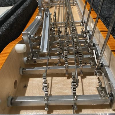 Williams Pedal Steel Guitar 2022 | Reverb