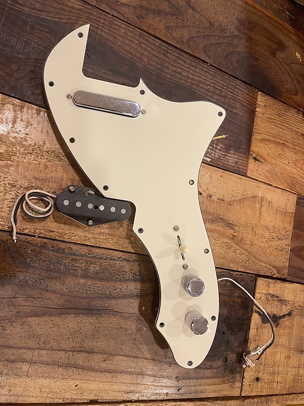 Fender Britt Daniel. USA. Loaded Pickguard. Custom shop | Reverb
