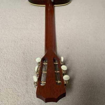 Taylor GC8 2006 - 2012 - Natural | Reverb UK