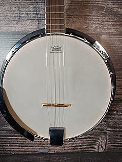 davison 5 string banjo Banjo (Orlando, FL Colonial) | Reverb
