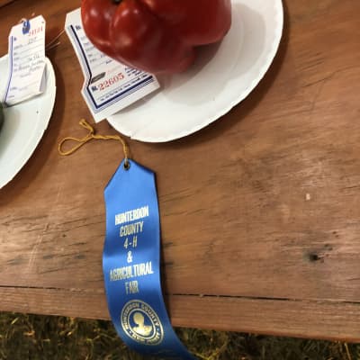 Neotek Series 3 1980s console - 36 channel, 24 bus (new power | Reverb