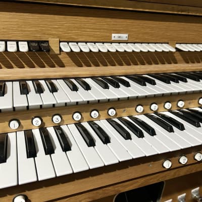 Rogers Alexandria Organ w/ 32-Note Negative Concave | Reverb