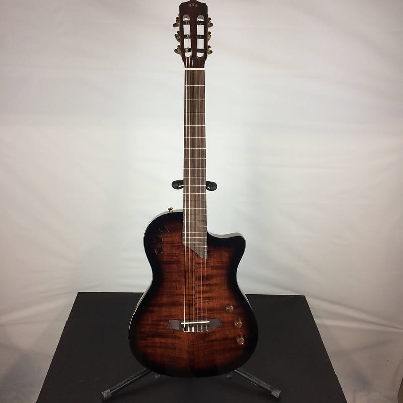 Cordoba Stage Guitar Thinline A/E Nylon-String Guitar, Edge | Reverb