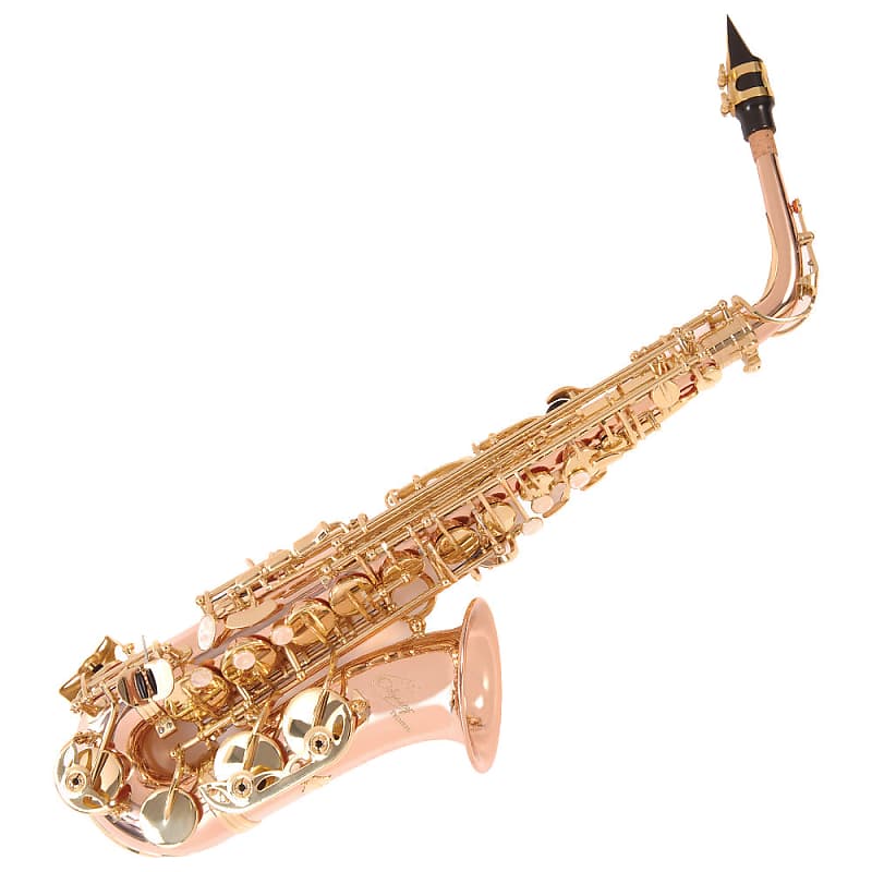 Odyssey Premiere 'Eb' Alto Saxophone Outfit ~ Rose/Gold | Reverb