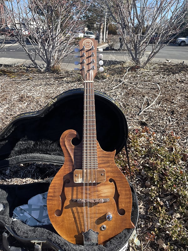 Darkwood USA F Style Electric Mandolin 8 String "Electric | Reverb